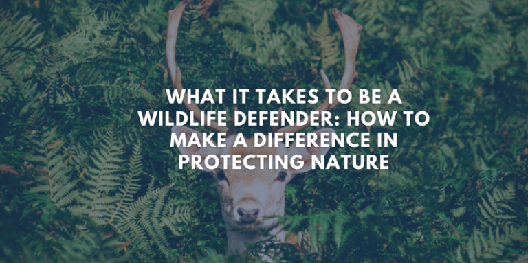 Defender of The Wildlife: Making a Difference in Protecting Nature
