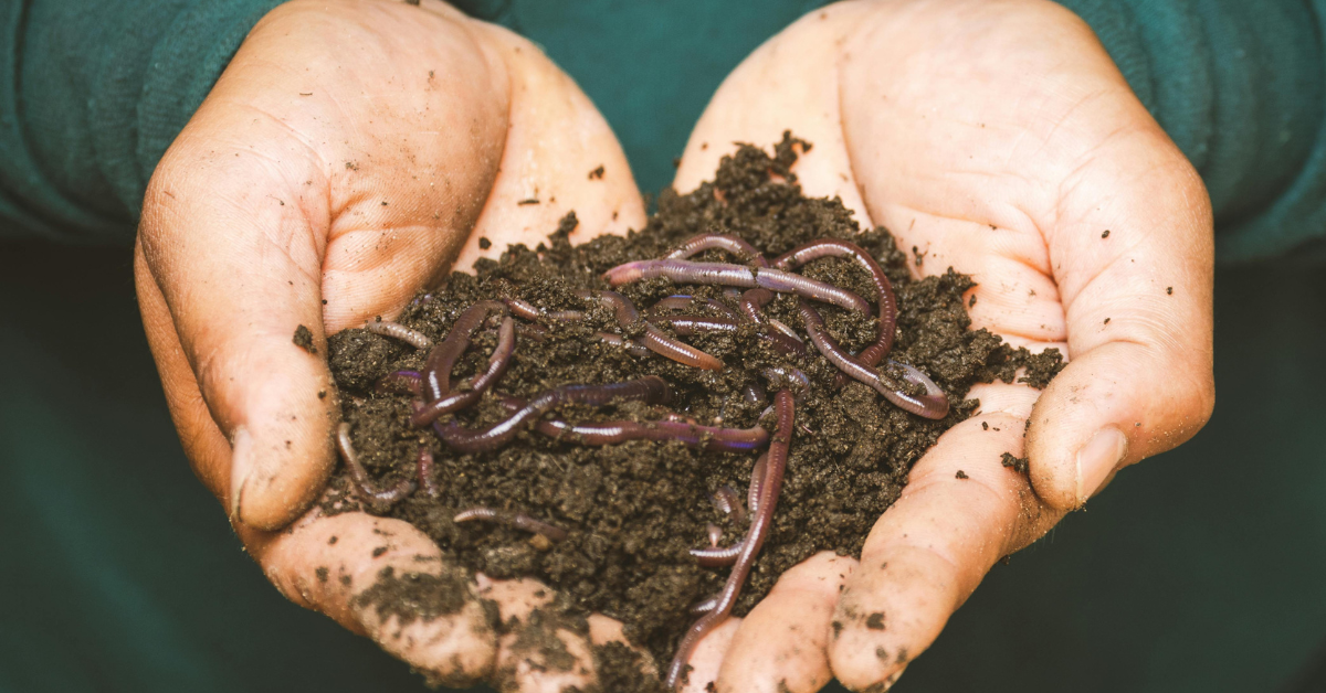 How Education and Donations Can Drive Community Composting - Donate-ng Blog