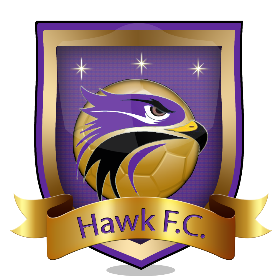 Hawk Football Limited